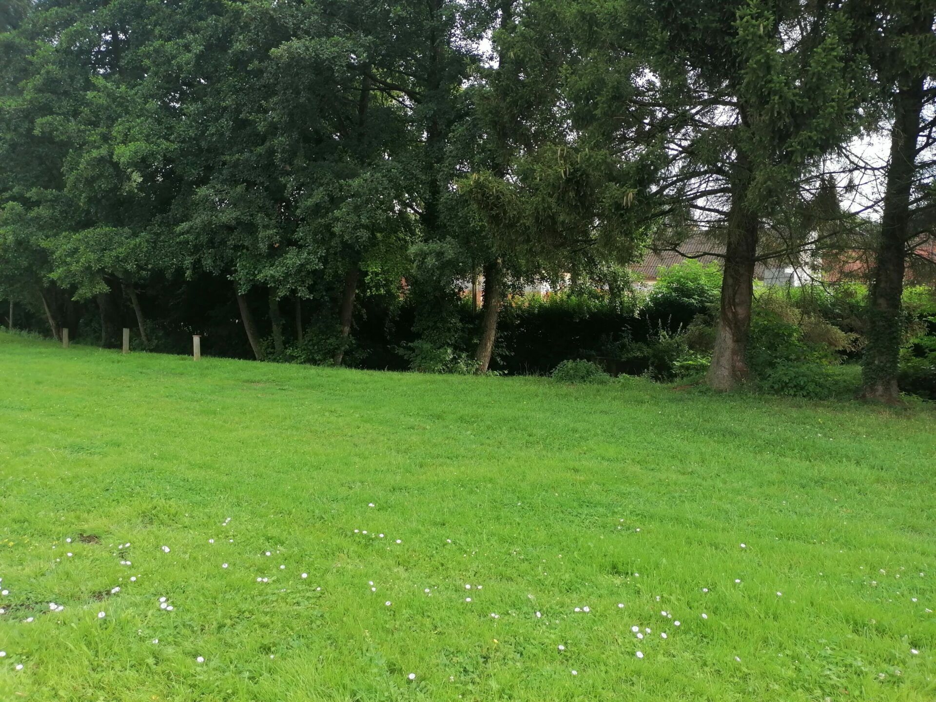 Aménagement de la parcelle de la salle des fêtes - Mairie de Ghissignies